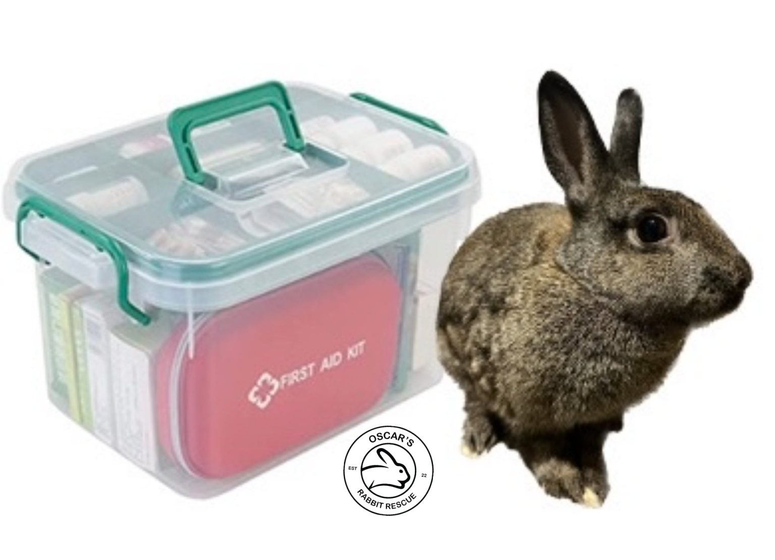Rabbit Emergency Preparedness – Oscar's Rabbit Rescue, Inc.