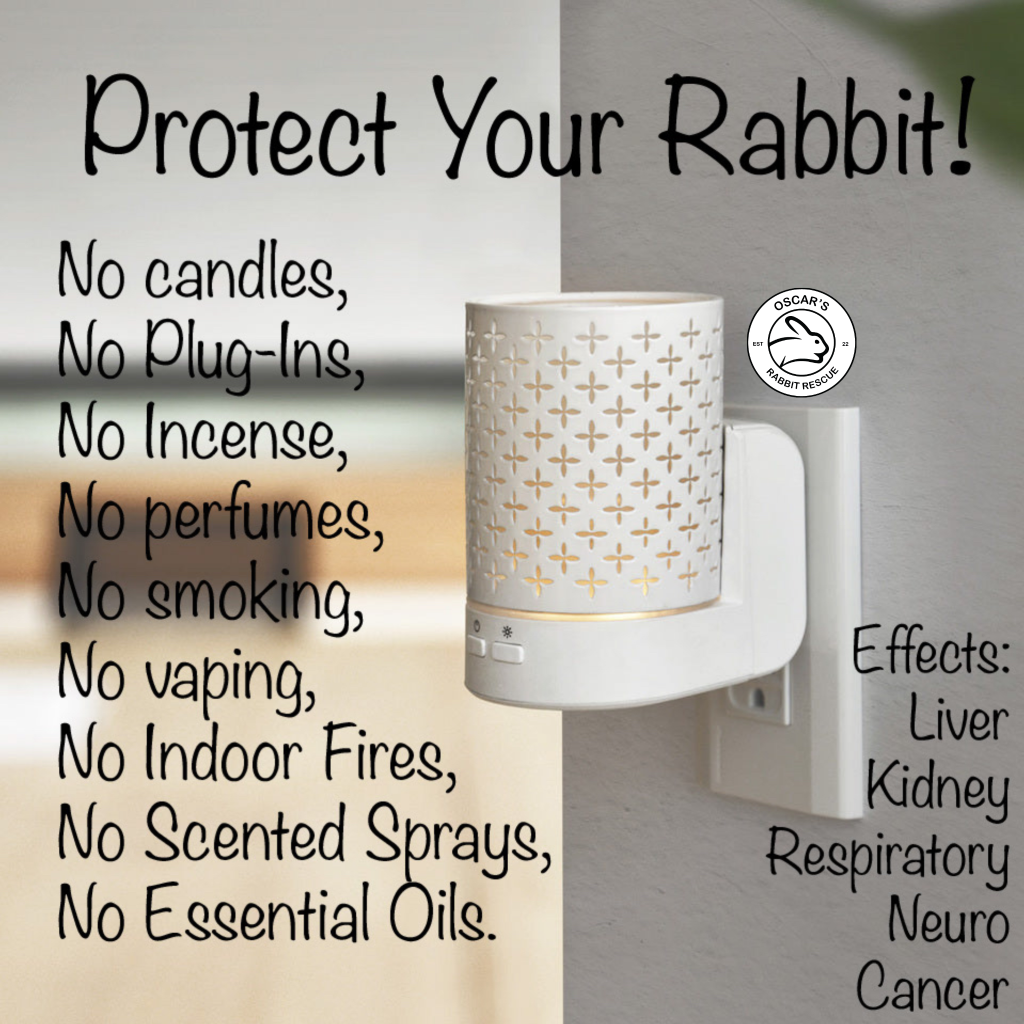 Household Hazards – Oscar's Rabbit Rescue, Inc.